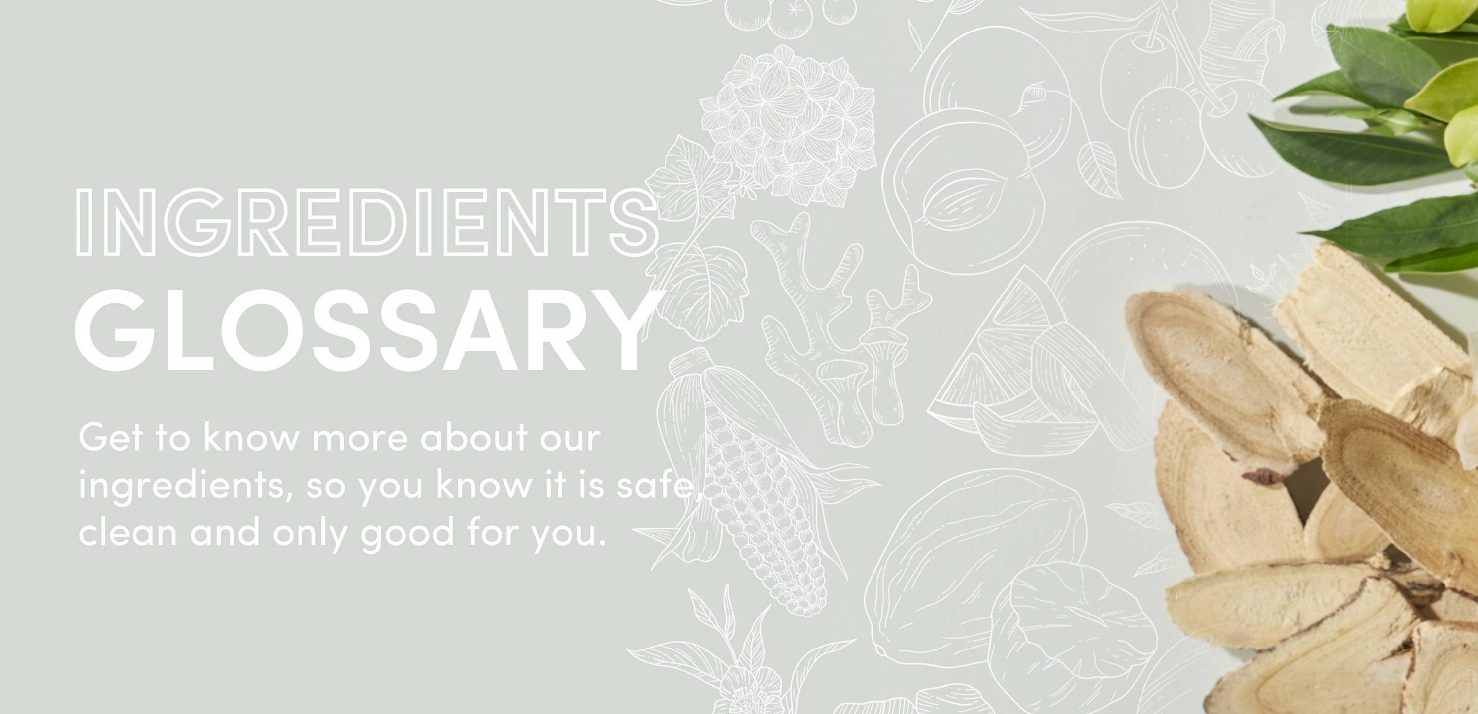 Ingredients Glossary